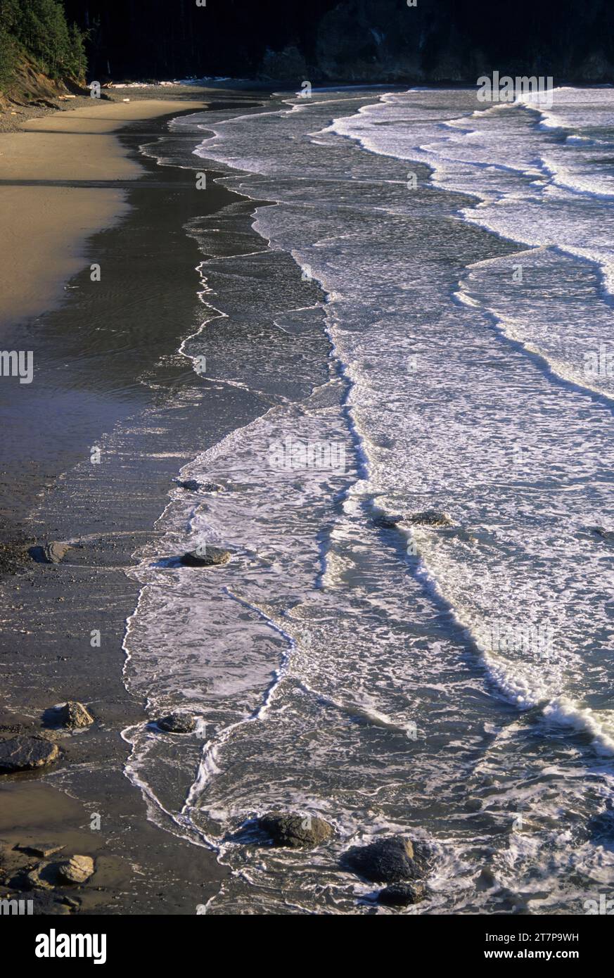 Short Sand Beach, Oswald West State Park, Oregon Stock Photo - Alamy