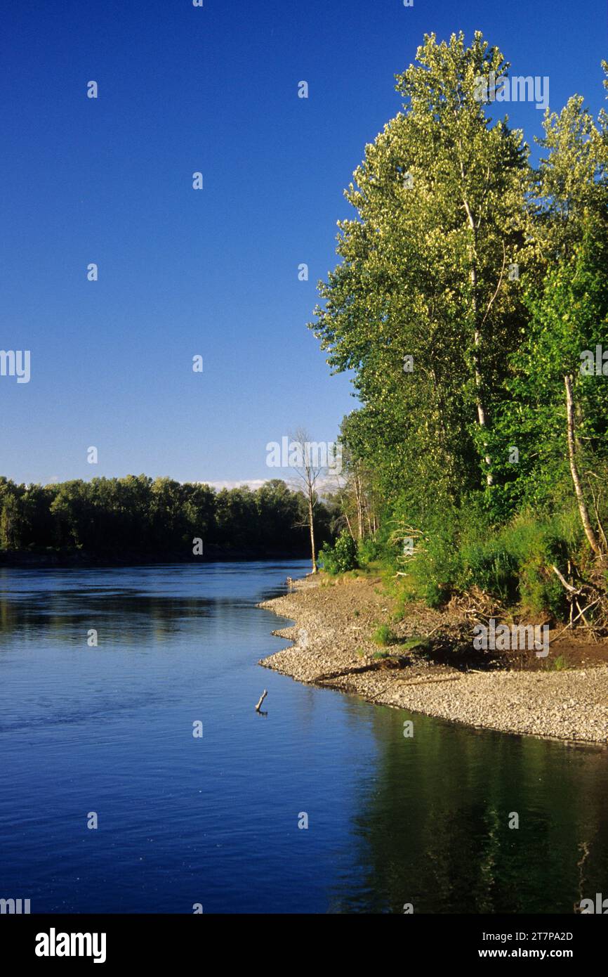 Willamette River, Willamette Mission State Park, Oregon Stock Photo - Alamy
