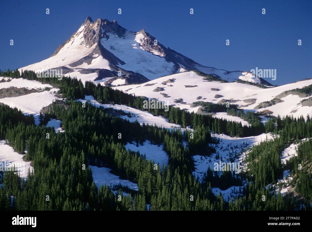 Mt Jefferson from Pyramid Peak, Mt Jefferson Wilderness, Mt Hood ... Mt Jefferson from Pyramid Peak, Mt Jefferson Wilderness, Mt Hood ...