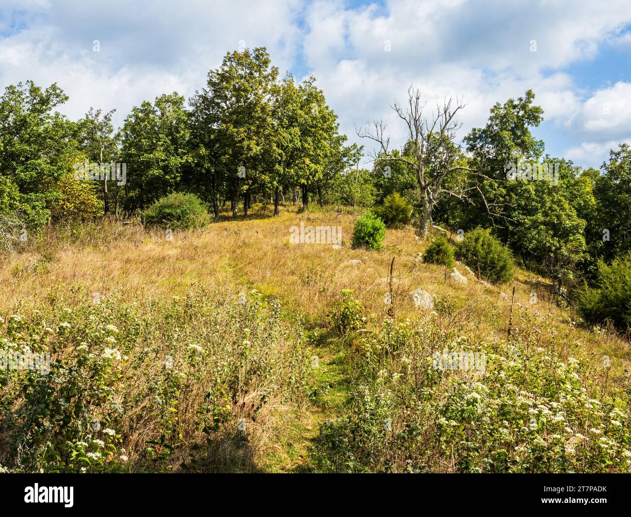 Nestled within the North Mountain and Laurel Run Trail in West Virginia ...