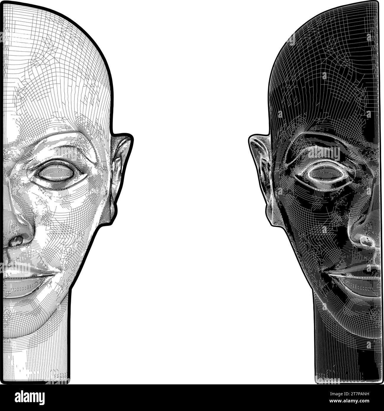 Human two parts illustration Black and White Stock Photos & Images - Alamy