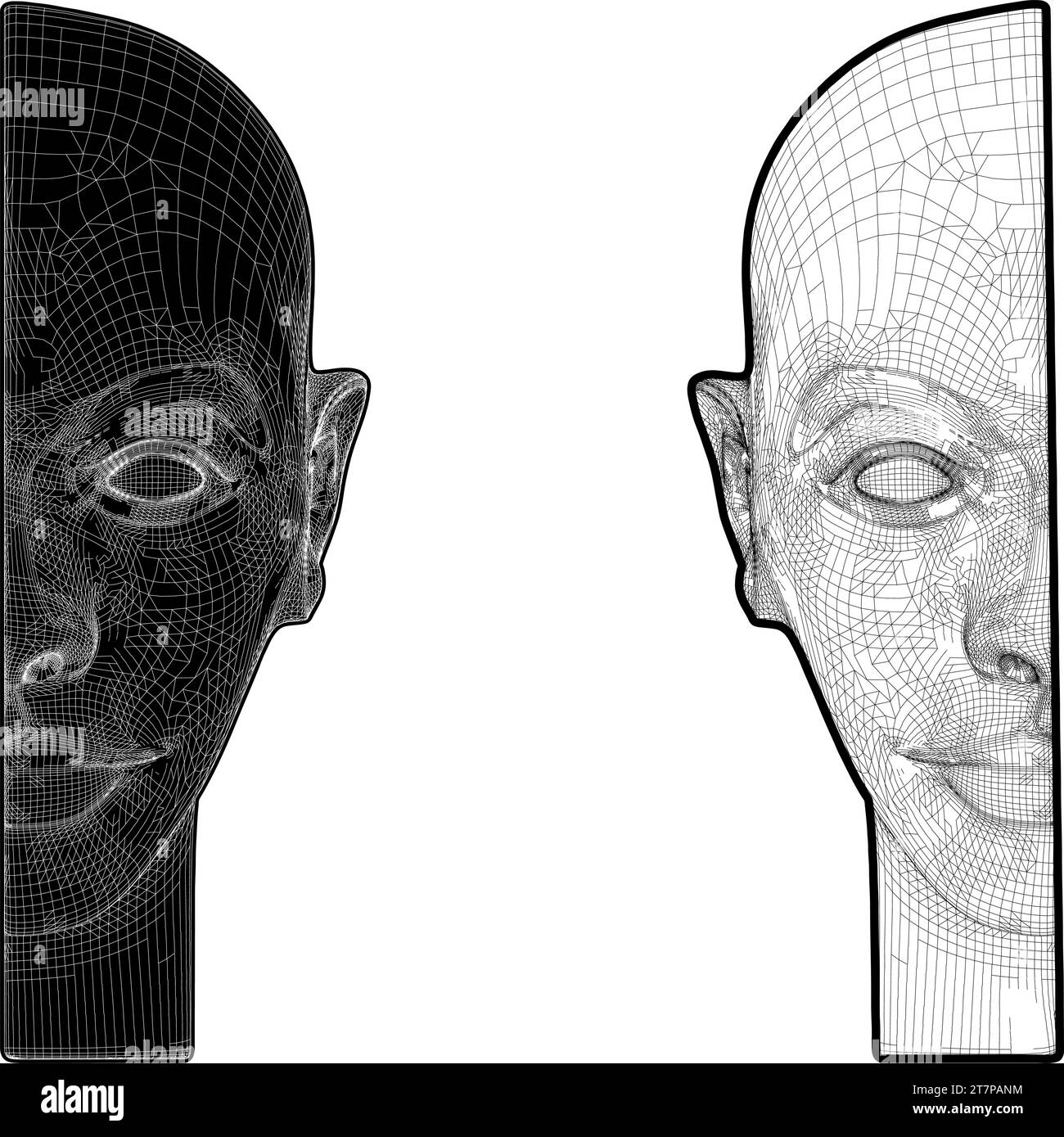 Man With Bald Head Vector. The Male Head Is Divided Into Two Parts ...