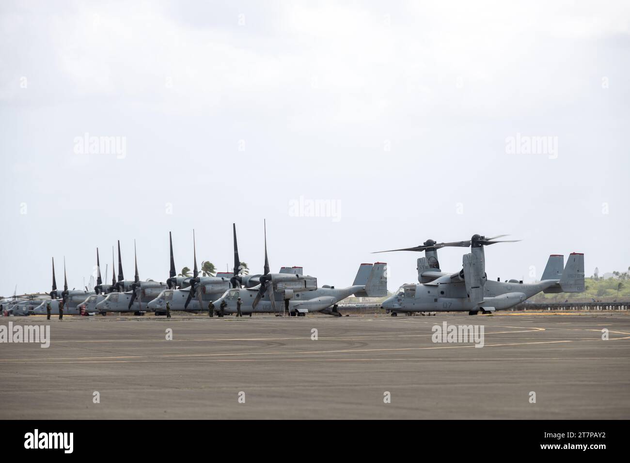 U.S. Marines with Marine Medium Tiltrotor Squadron (VMM) 363, Marine ...