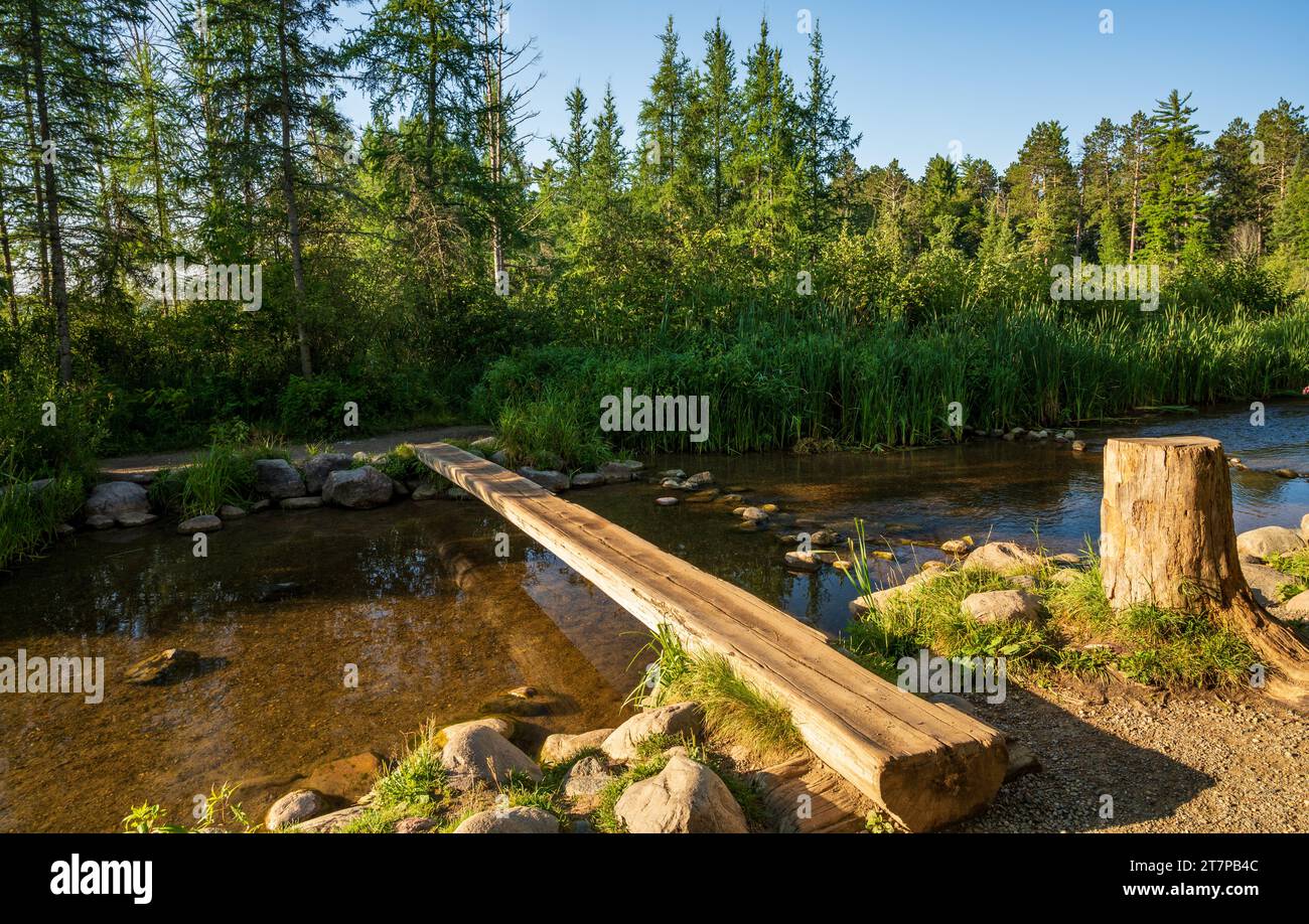 Log Bridge Over the Mississippi River Headwaters at Itasca State Park ...