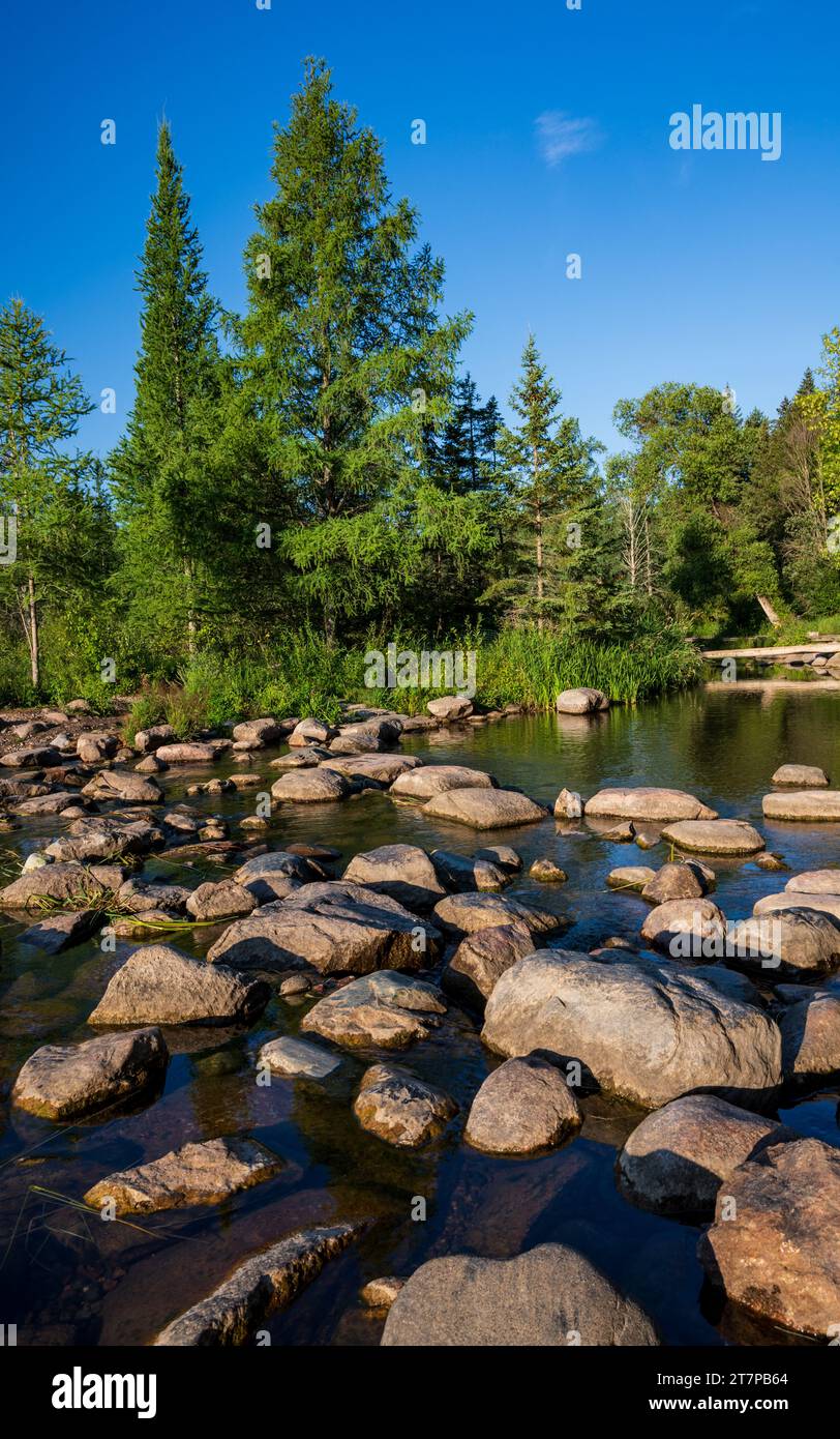 Mississippi River Headwaters at Lake Itasca in Itasca State Park in ...