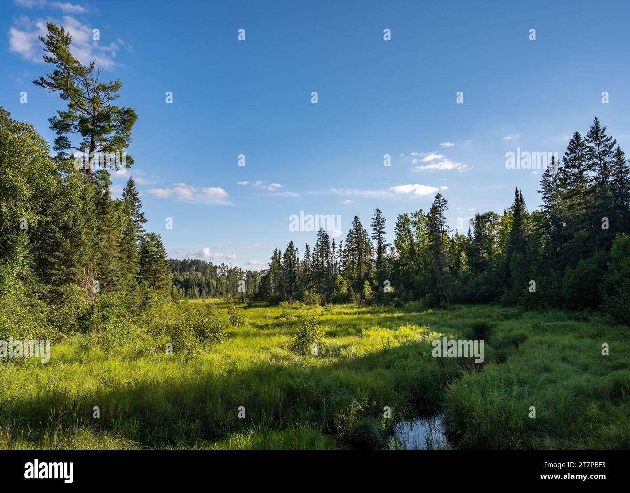 Stream in the Wilderness of Itasca State Park in Minnesota Stock Photo ...
