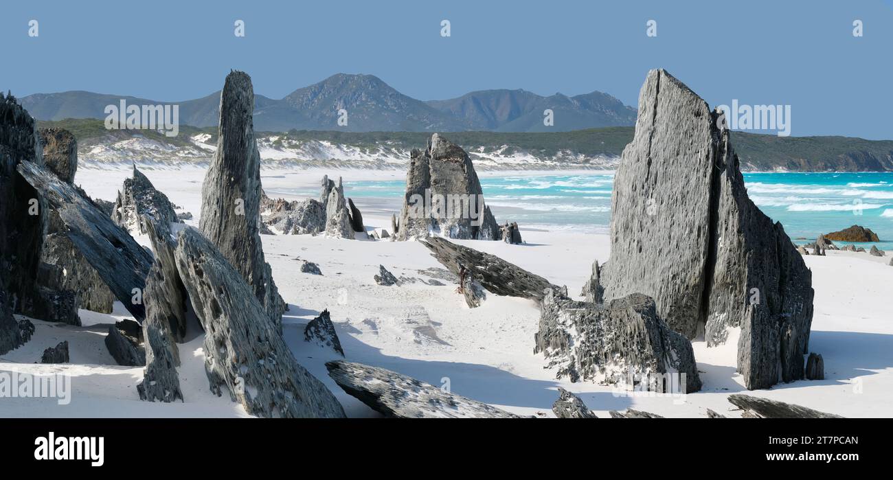 Rock stacks & eroded rock on sandy beach with Mount Barren range at ...