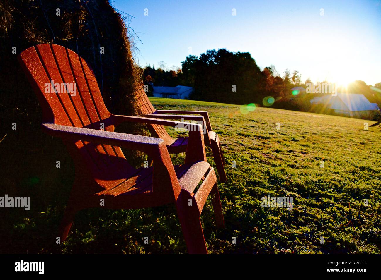 Morning frost in the Muskoka chairs sitting on a farm with lens flare ...