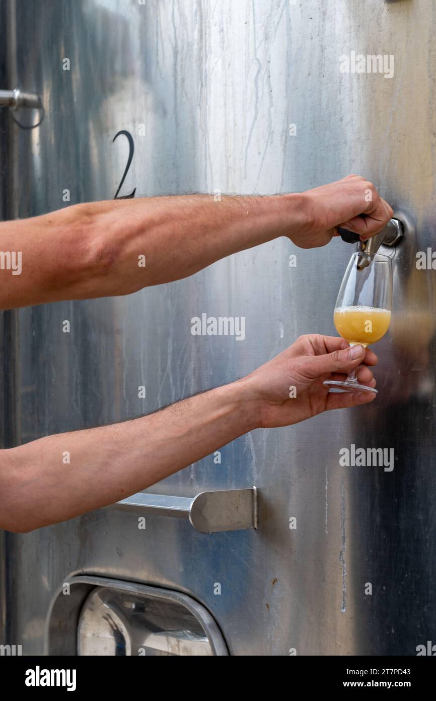Works at distillery. Harvest time in Cognac white wine region, Charente ...