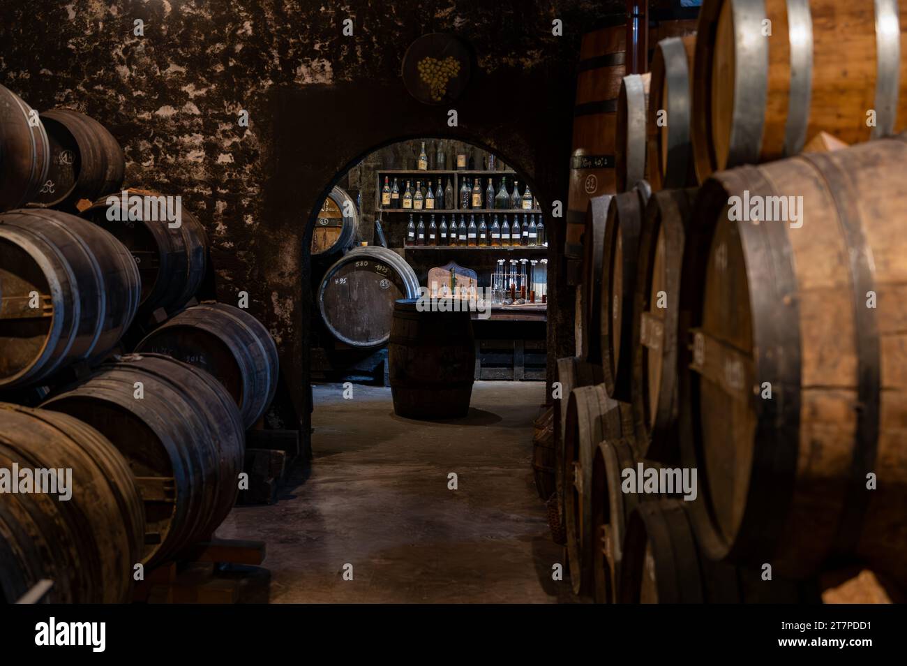 Aging process of cognac spirit in old dark French oak barrels in cellar ...