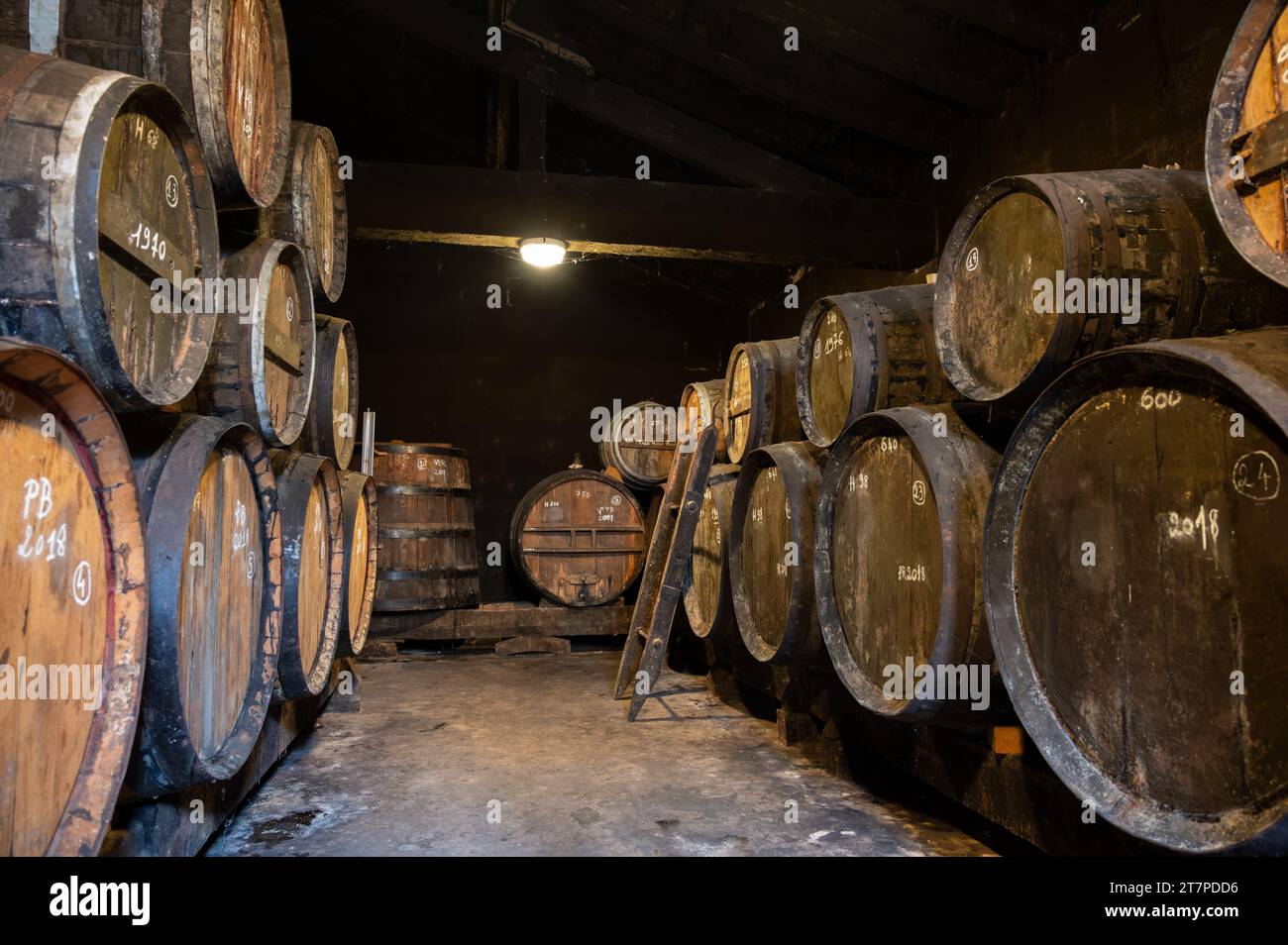 Aging process of cognac spirit in old dark French oak barrels in cellar ...