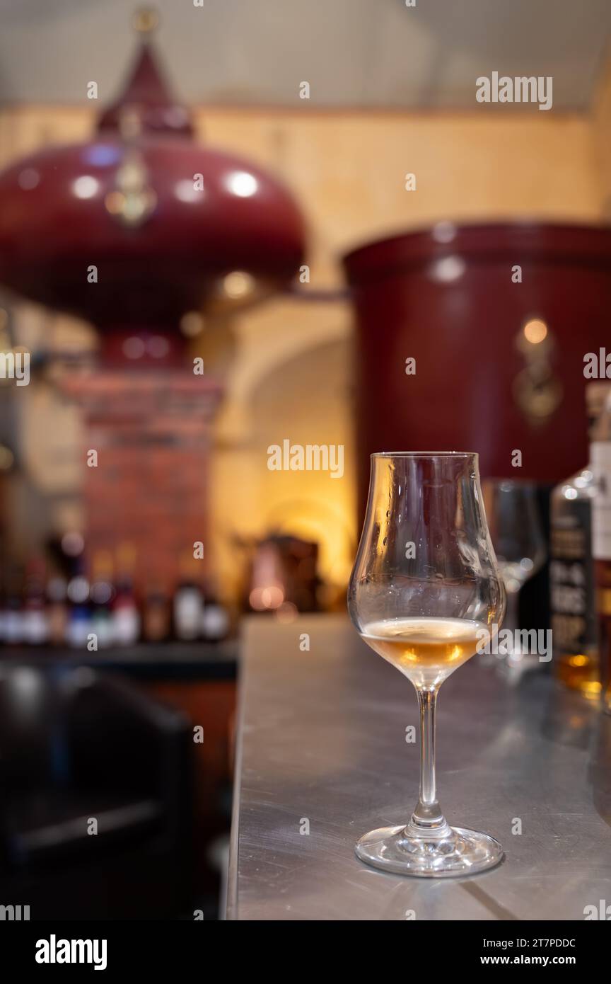 Tasting of cognac spirit aged in old dark French oak barrels in cellar ...