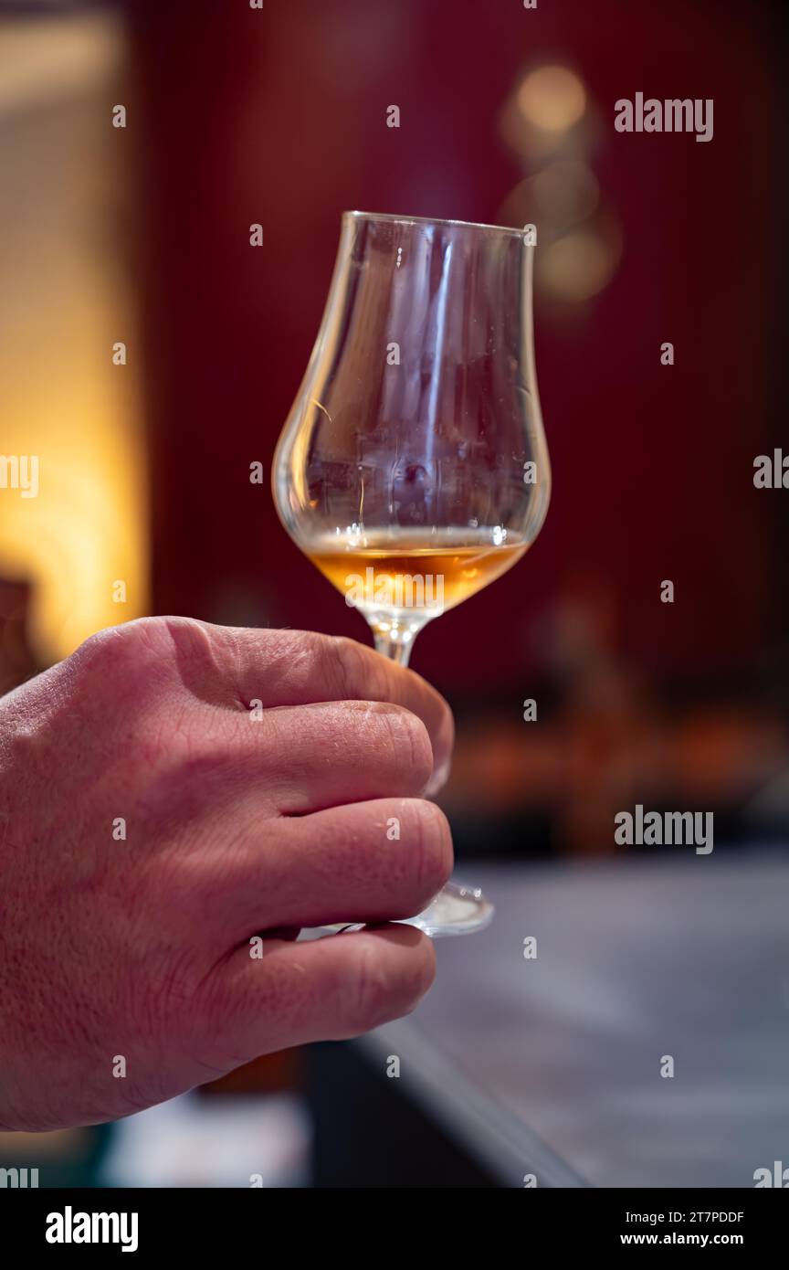 Tasting of cognac spirit aged in old dark French oak barrels in cellar ...