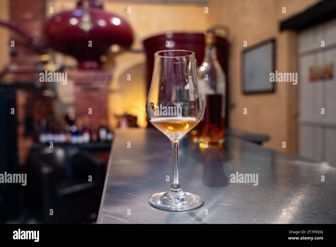 Tasting of cognac spirit aged in old dark French oak barrels in cellar ...