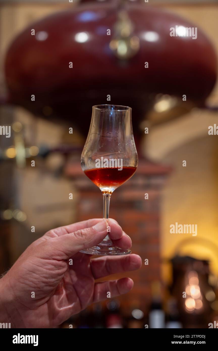 Tasting of cognac spirit aged in old dark French oak barrels in cellar ...