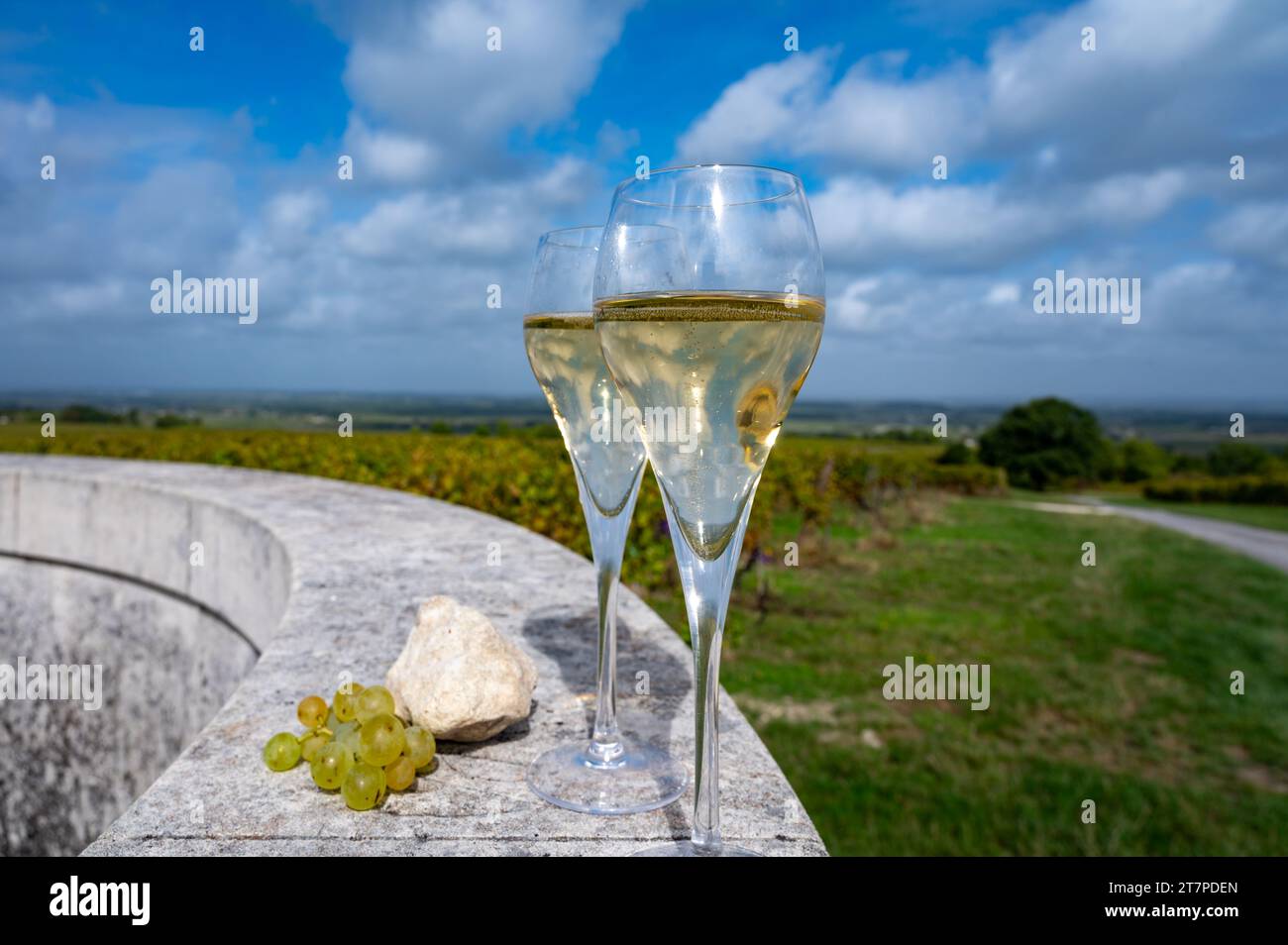 Tasting of grand cru sparkling white wine with bubbles champagne on ...