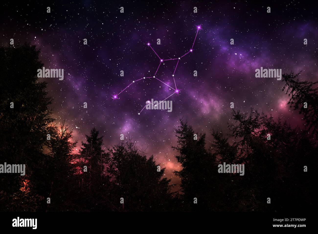Virgo constellation in starry sky over conifer forest at night, low ...