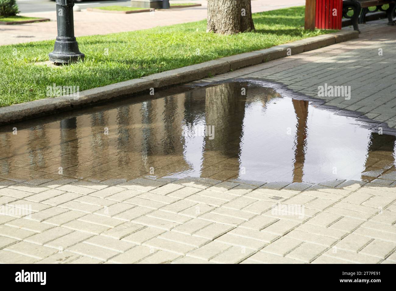 Puddle of rain water on paved pathway outdoors Stock Photo - Alamy