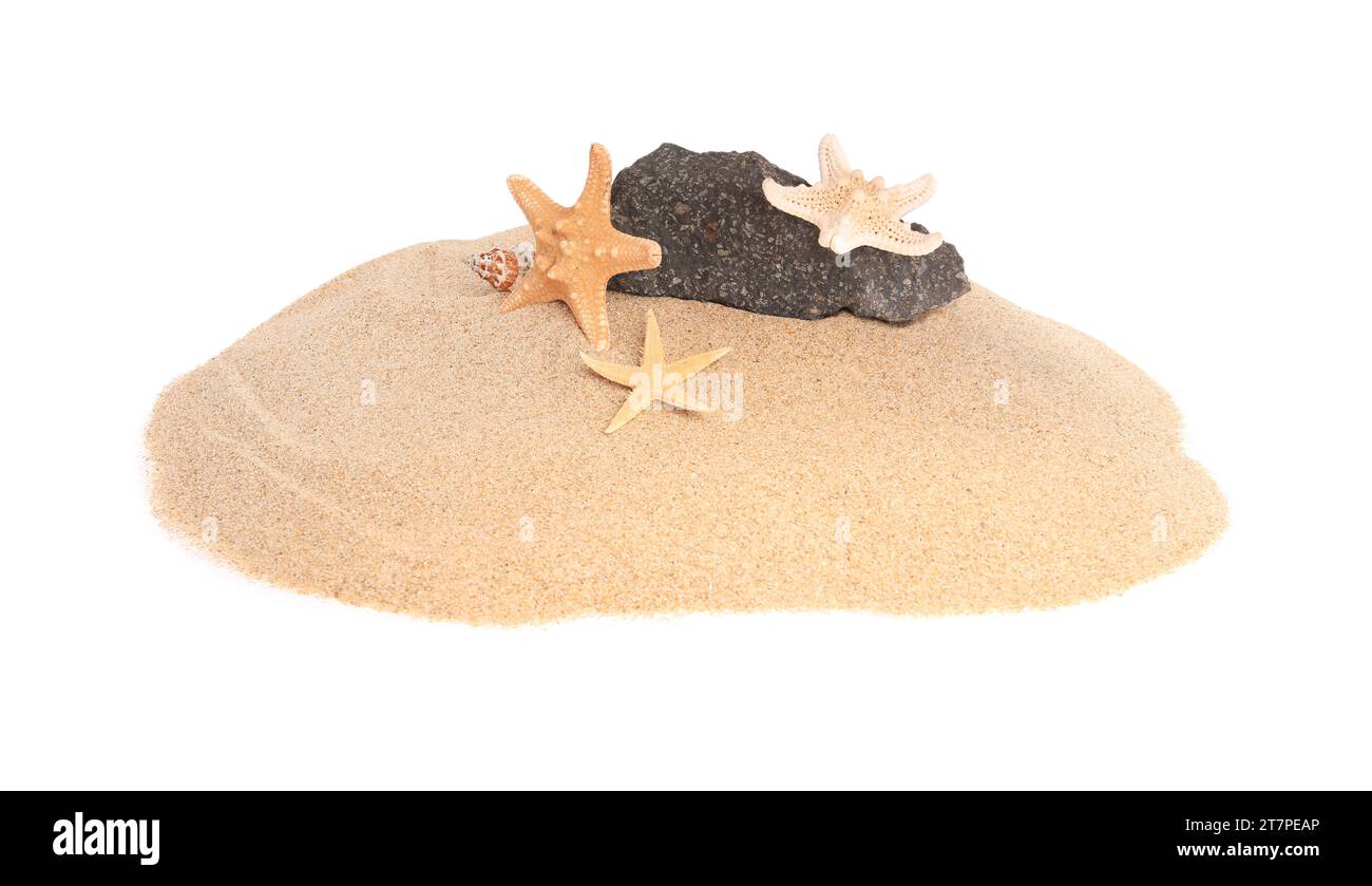 Sand with many beautiful sea stars, seashell and stone isolated on ...