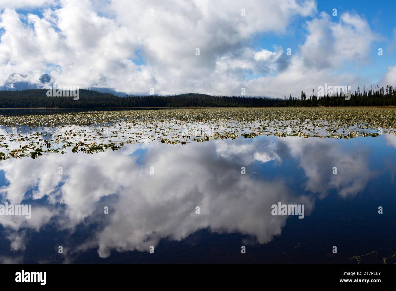 Clouds reflect in the waters of Riddle Lake near Grant Village in ...