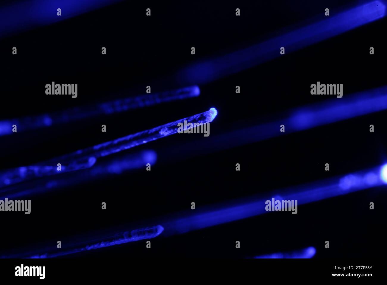 Optical fiber strands transmitting blue light on black background ...