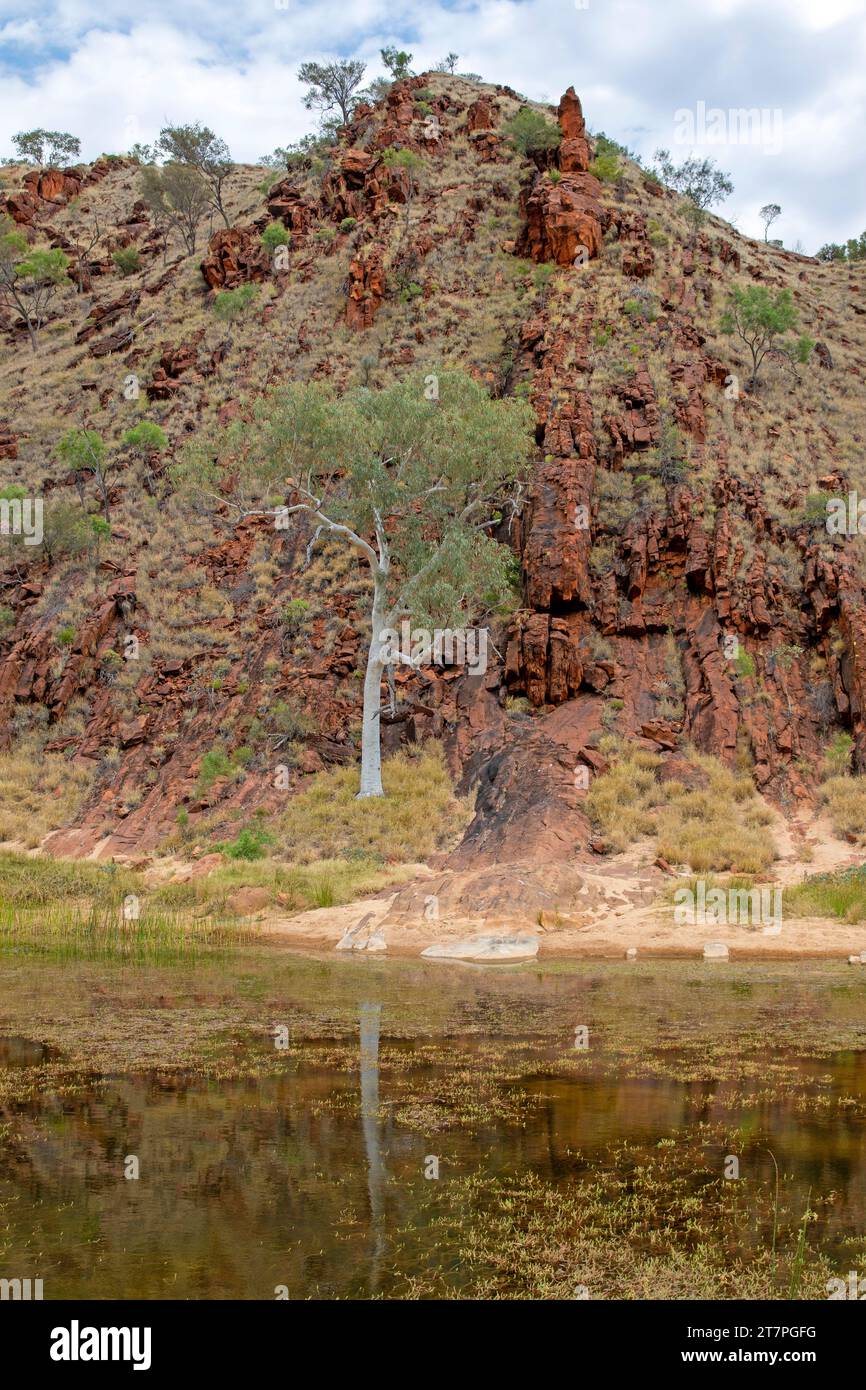 Gorge at Rodna in the West MacDonnell Ranges Stock Photo - Alamy