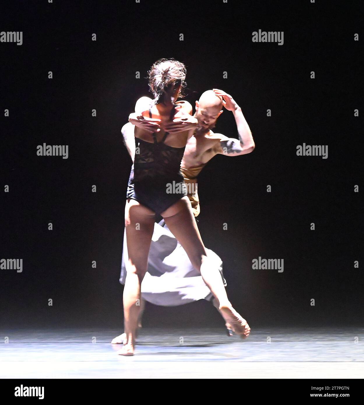 LOVETRAIN2020 builds on the eccentric rigor that defines Emanuel Gat ...