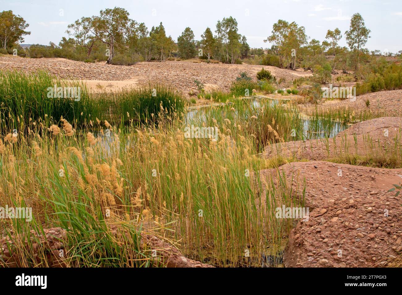 The Finke River flowing through Rodna at the foot of the West ...