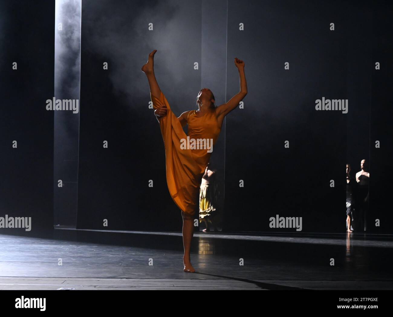 LOVETRAIN2020 builds on the eccentric rigor that defines Emanuel Gat ...