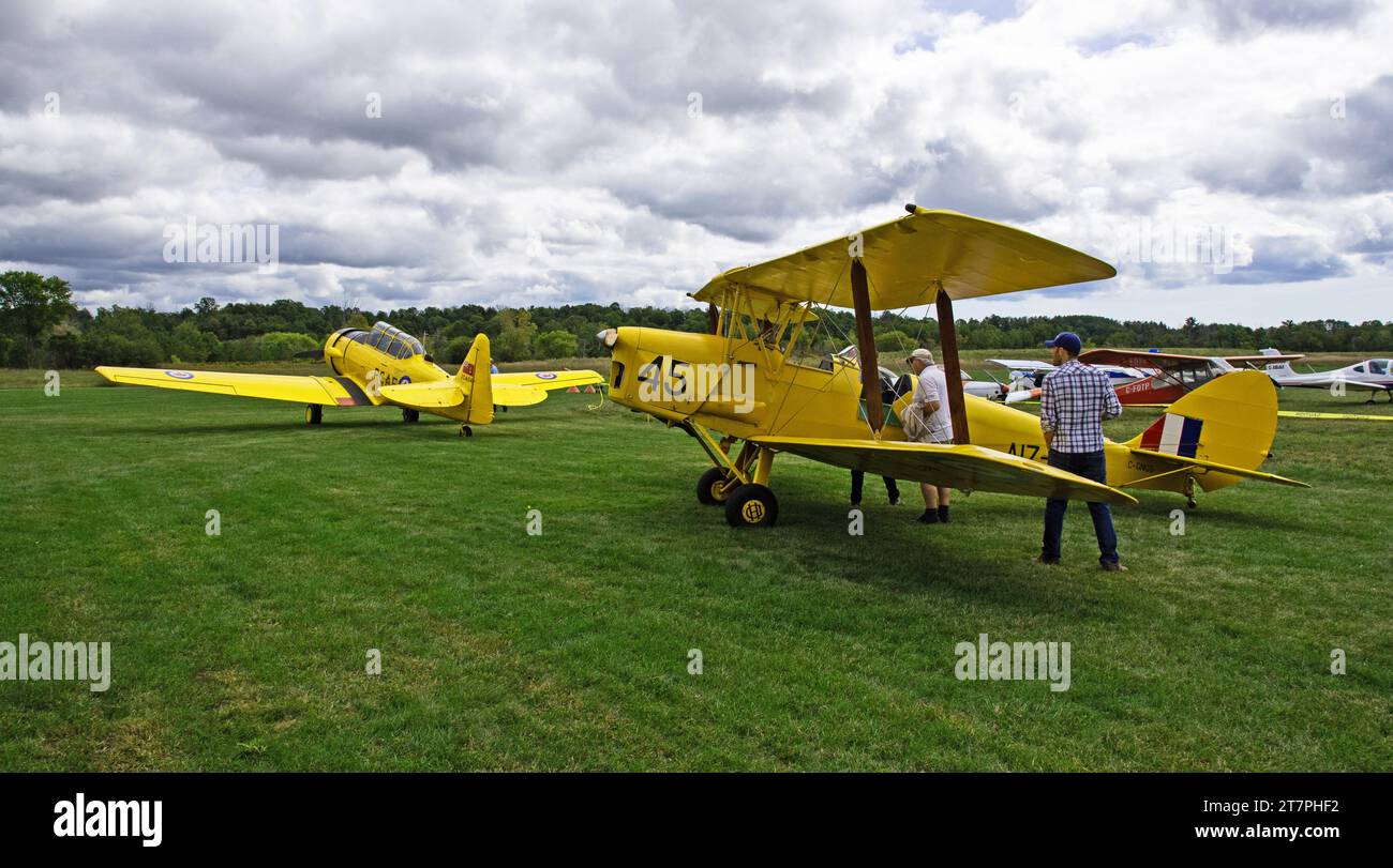 DeHavilland DH.82 Tiger Moth with Harvard at Hawkfield Fly-In Stock ...