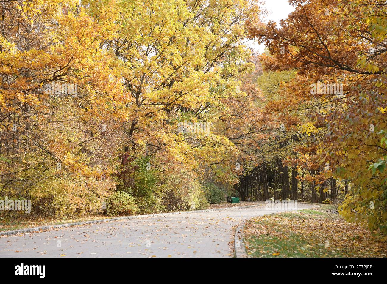 Beautiful Nature Autumn landscape. Scenery view on autumn city park ...