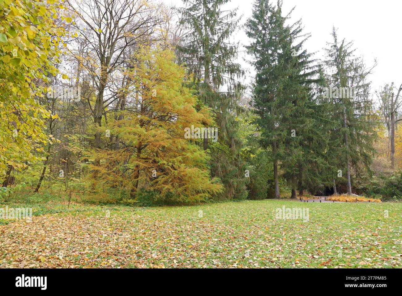 Beautiful Nature Autumn landscape. Scenery view on autumn city park ...