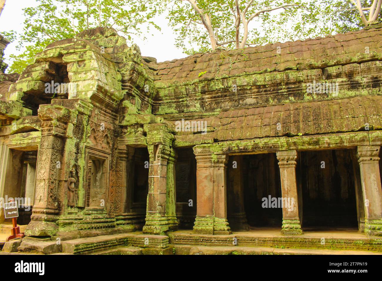 Ancient gallery of amazing Ta Prohm temple overgrown with trees ...