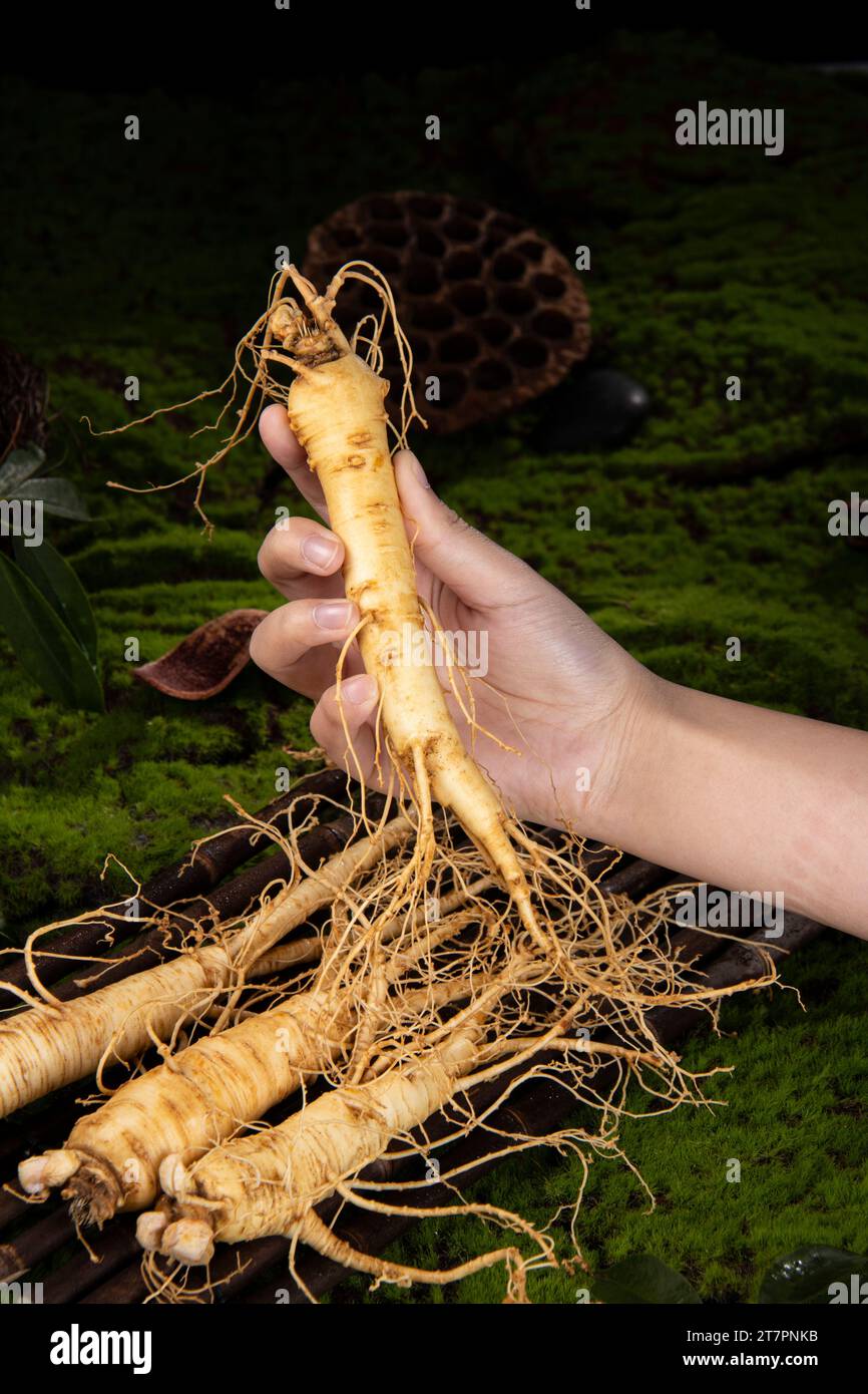 Fresh Ginseng Root The Amazing Health Benefits Of Ginseng You Need To