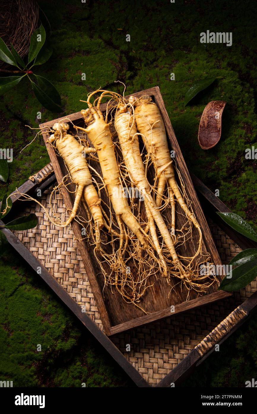 Fresh Ginseng Root The Amazing Health Benefits Of Ginseng You Need To