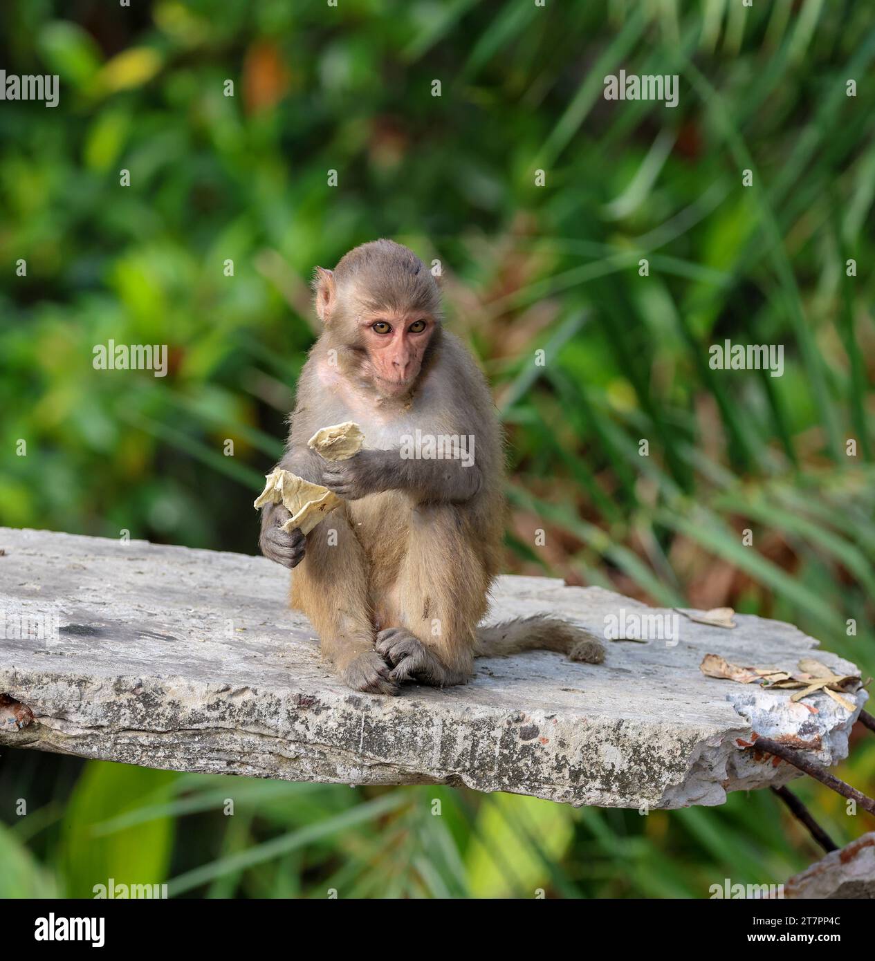 Koromjol eco tourism centre hi-res stock photography and images - Alamy
