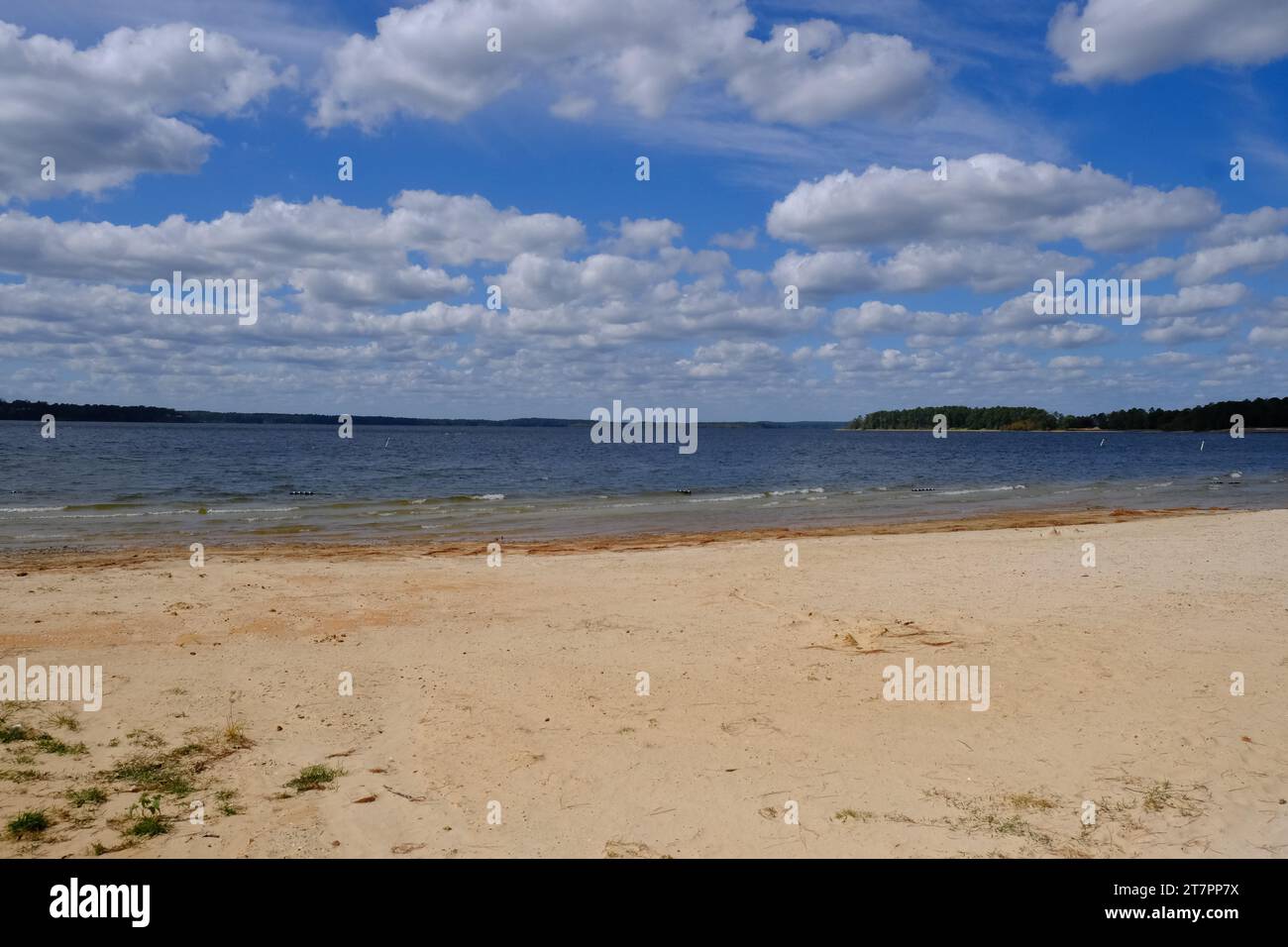 This is the beach at Cypress Bend Park in Many, Louisiana. It is part ...