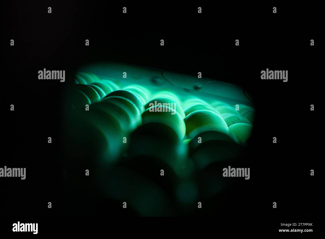 Eggs are scanned for imperfections along a conveyer belt at Seng Choon ...