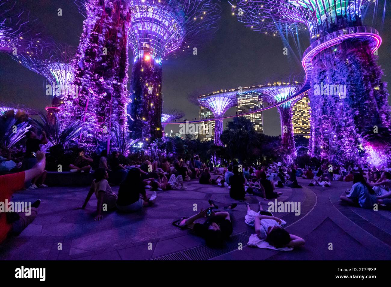 Visitors sit beneath the Supertrees during a light and sound show at ...