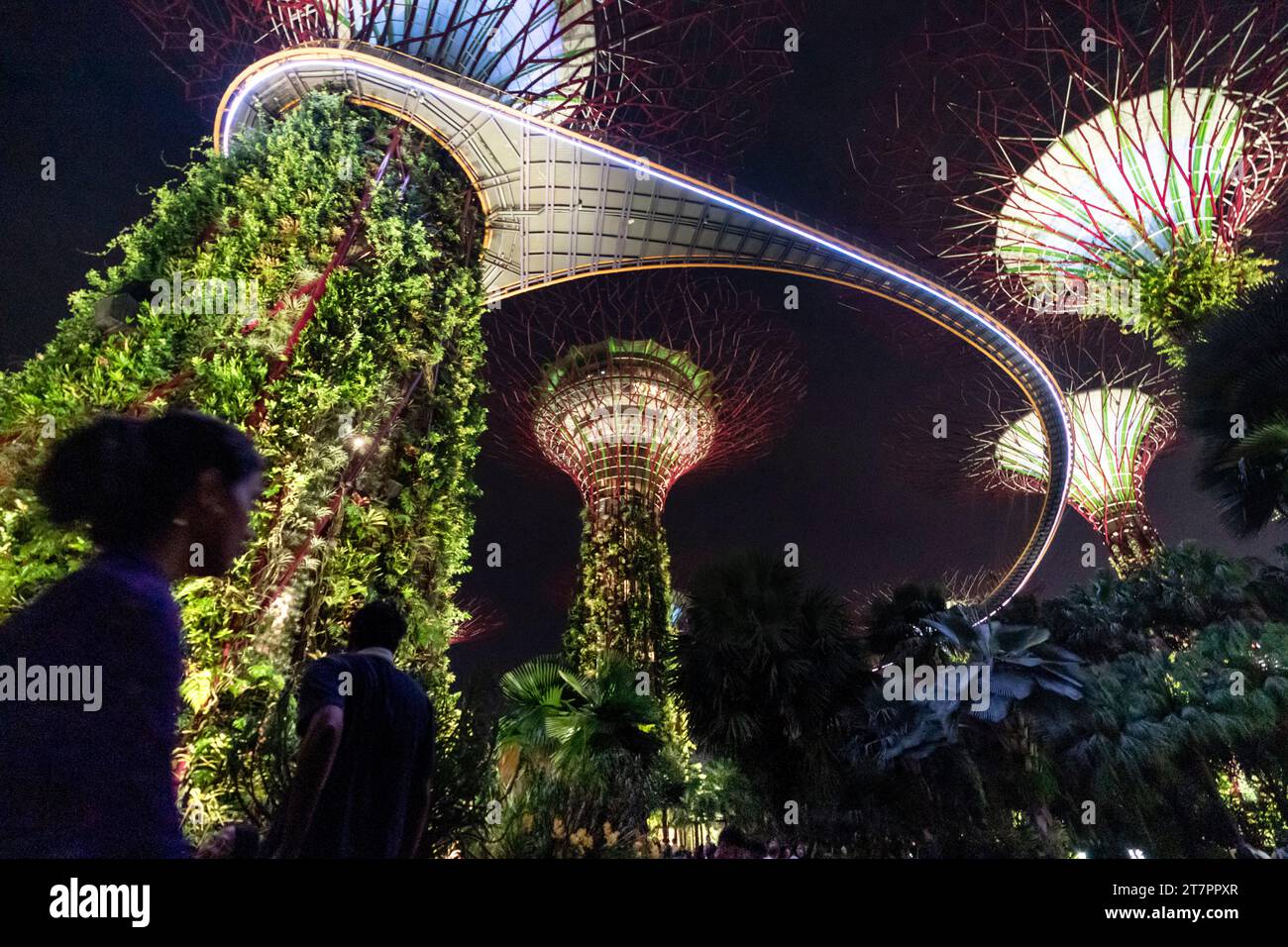 Visitors walk beneath the Supertrees during a light and sound show at ...