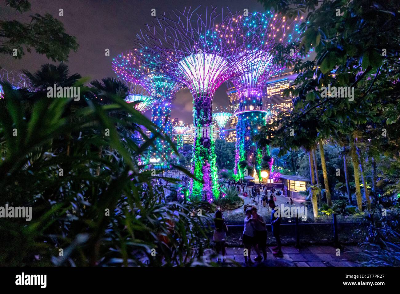 Visitors stand beneath the Supertrees during a light and sound show at ...