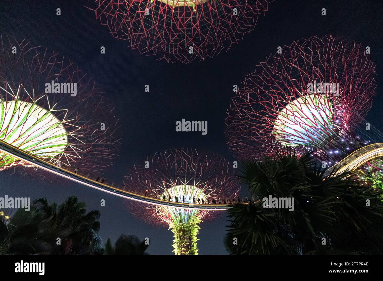 Visitors walk along a canopy at the Supertrees during a light and sound ...