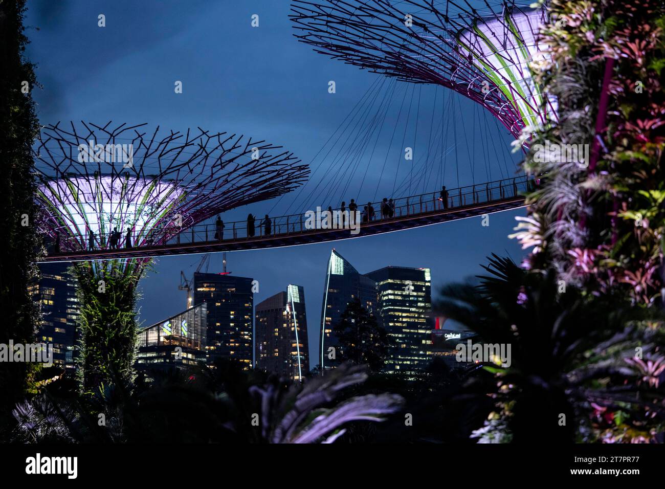 Visitors walk along a canopy at the Supertrees at Gardens By The Bay in ...