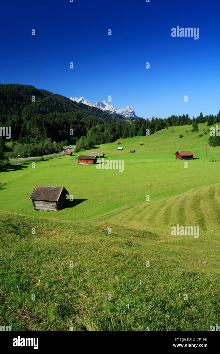 Typical Upper Bavarian cultural landscape, mountain meadow with house ...