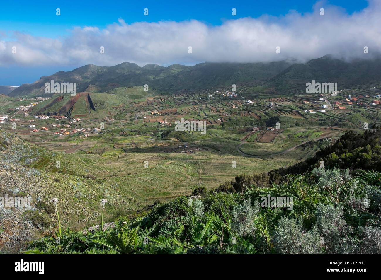 Valley of El Palmar, Montana de El Palmar, Los Carrizales, Buenavista ...