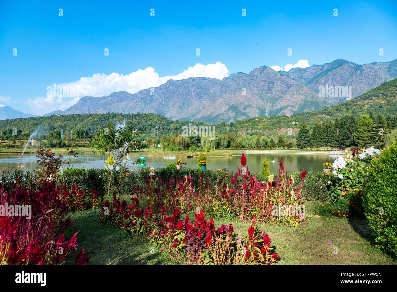 Jawaharlal Nehru Memorial Botanical Gardens in Srinagar, Jammu, Kashmir ...