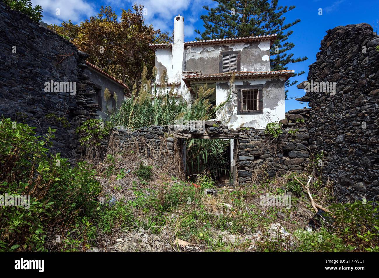 Ron da madeira hi-res stock photography and images - Alamy