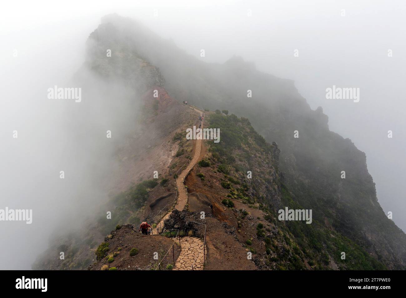 Hikers on the PR1 Vereda do Areeiro hiking trail in the fog, from Pico ...