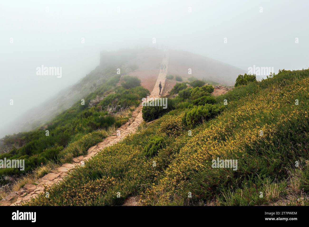 Hikers on the PR1 Vereda do Areeiro hiking trail in the fog, from Pico ...