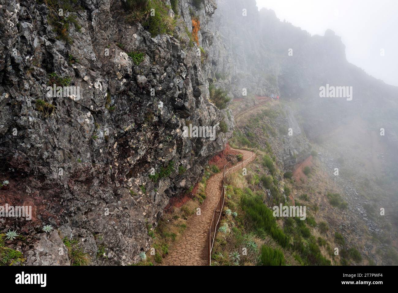 Hikers on the PR1 Vereda do Areeiro hiking trail in the fog, from Pico ...